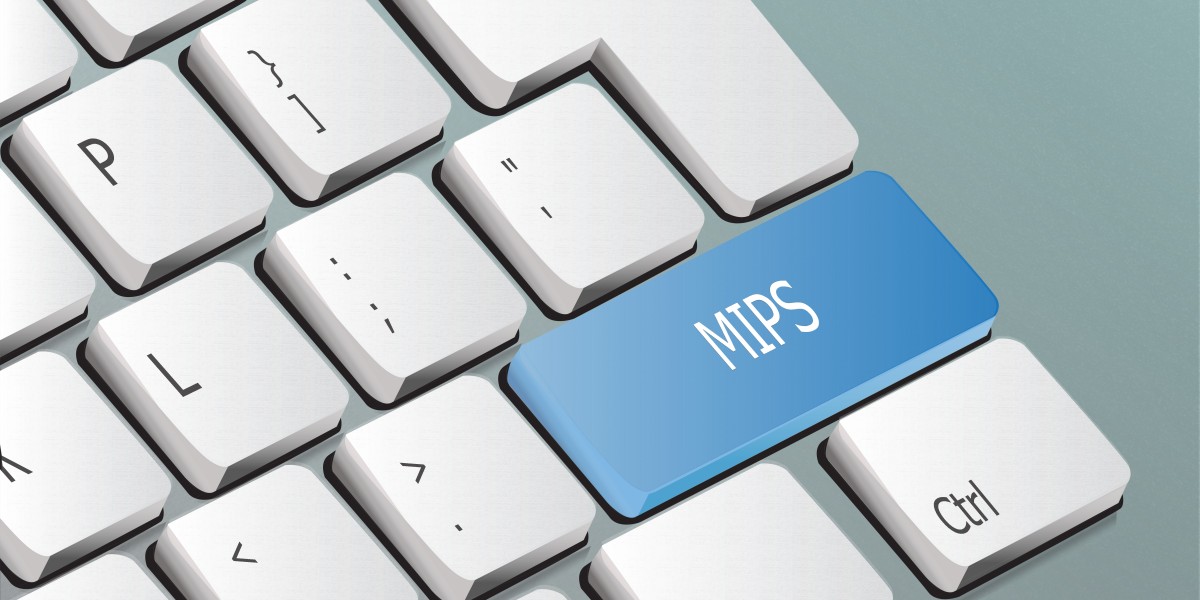 What’s in Store for MIPS for 2023?